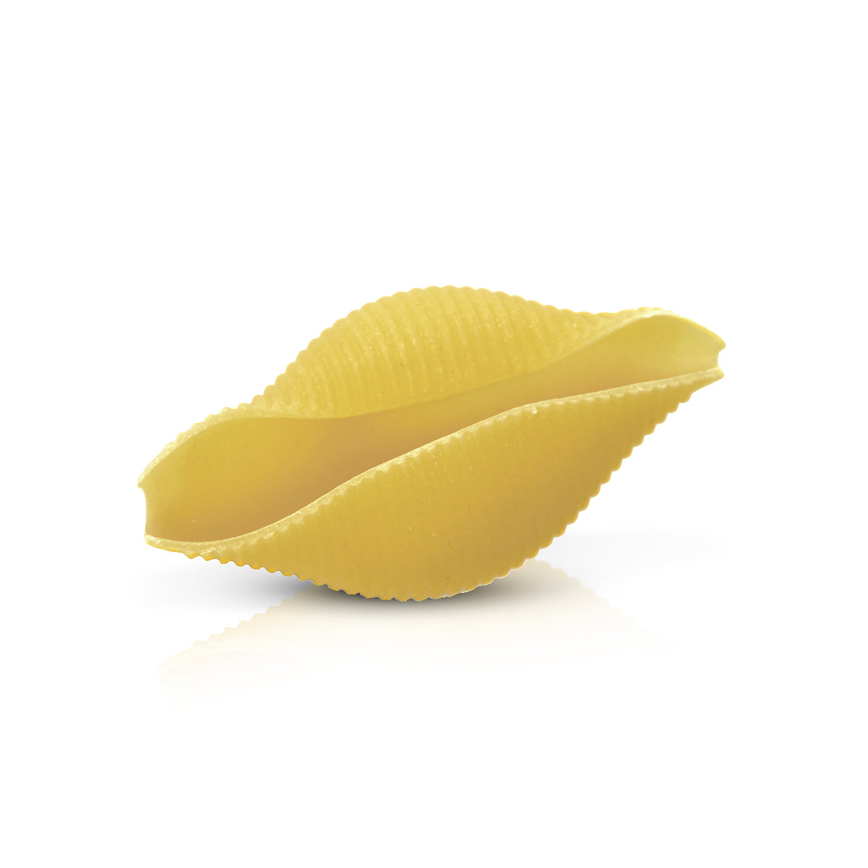 Conchiglioni Pasta – Buy Online at Best Price – Gustora Foods